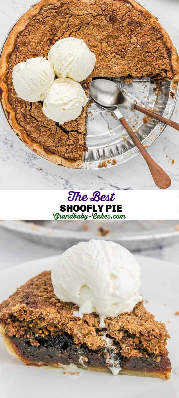 Rich Gooey Homemade Shoofly Pie - Grandbaby Cakes
