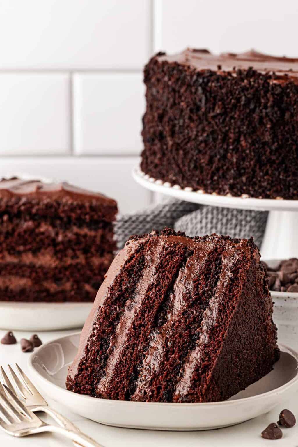 Brooklyn Blackout Cake (Chocolate on Chocolate!)